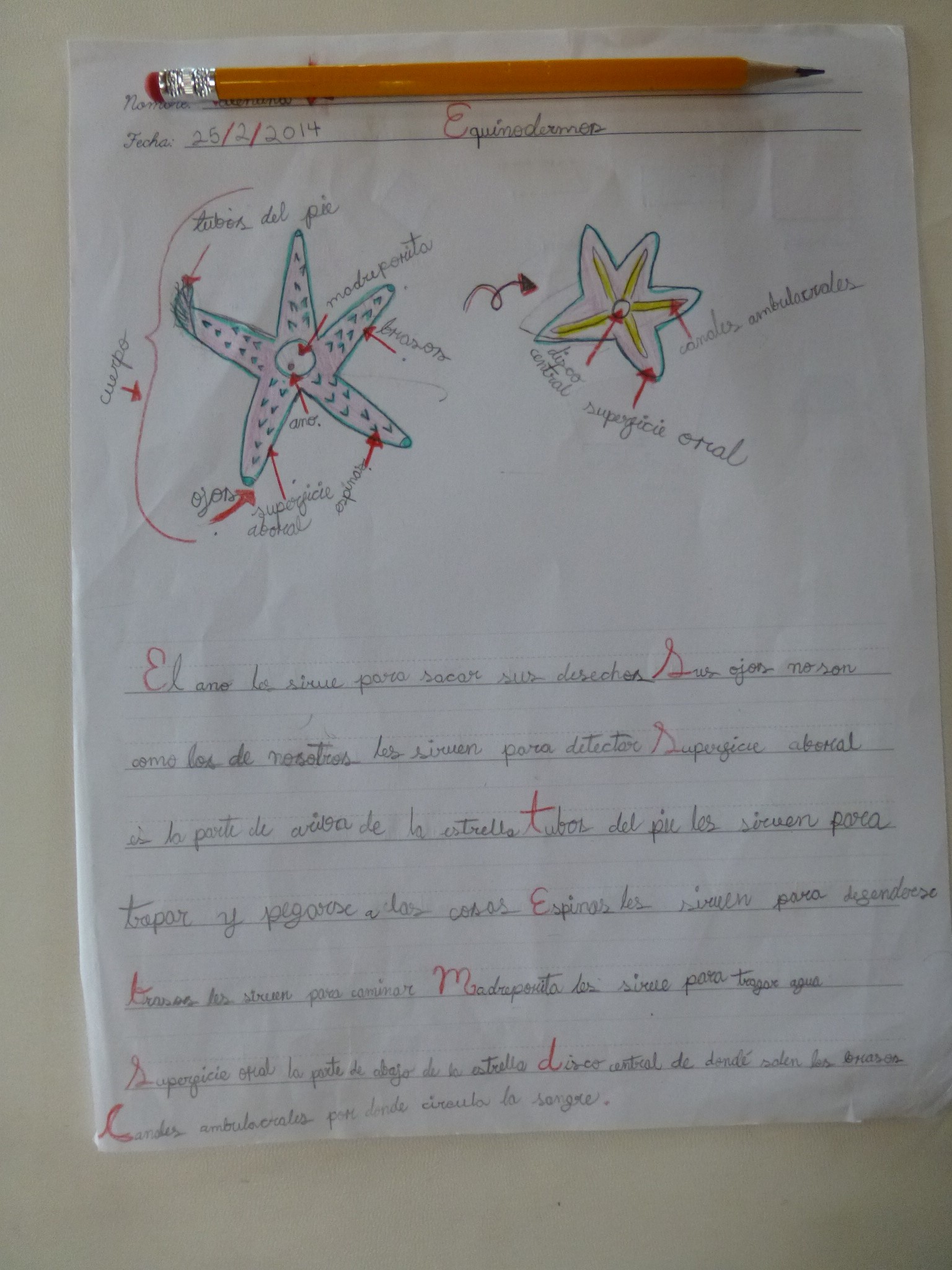 P1040657 – Aprender la chispa